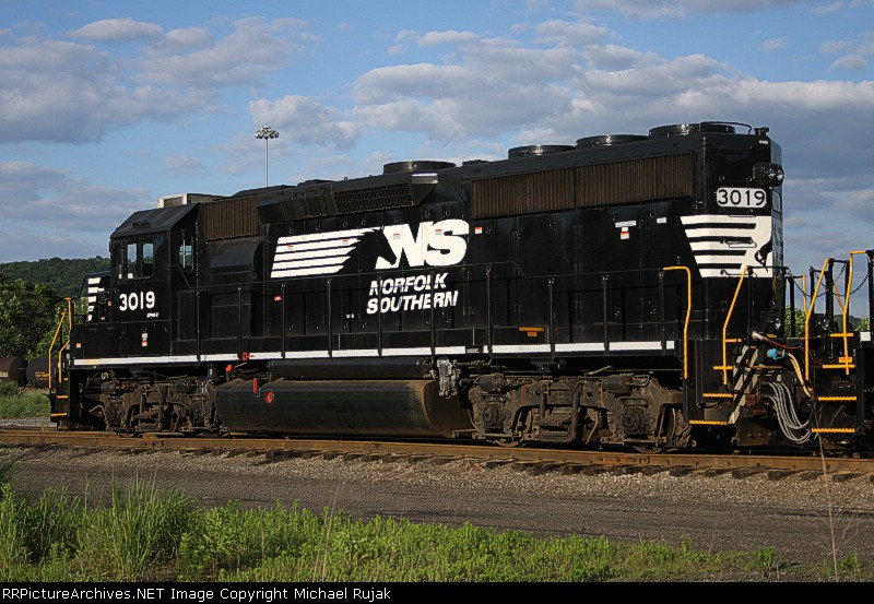 NS 3019